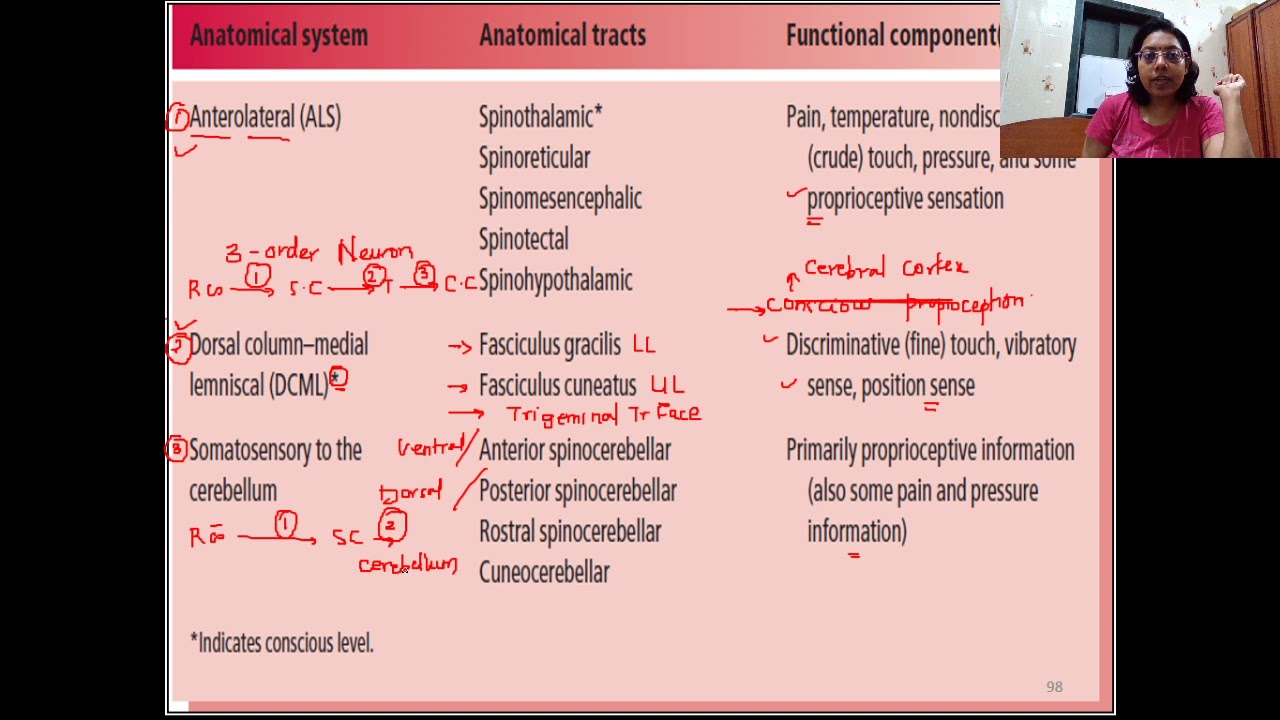 Classification of Ascending tracts in CNS Physiology - YouTube