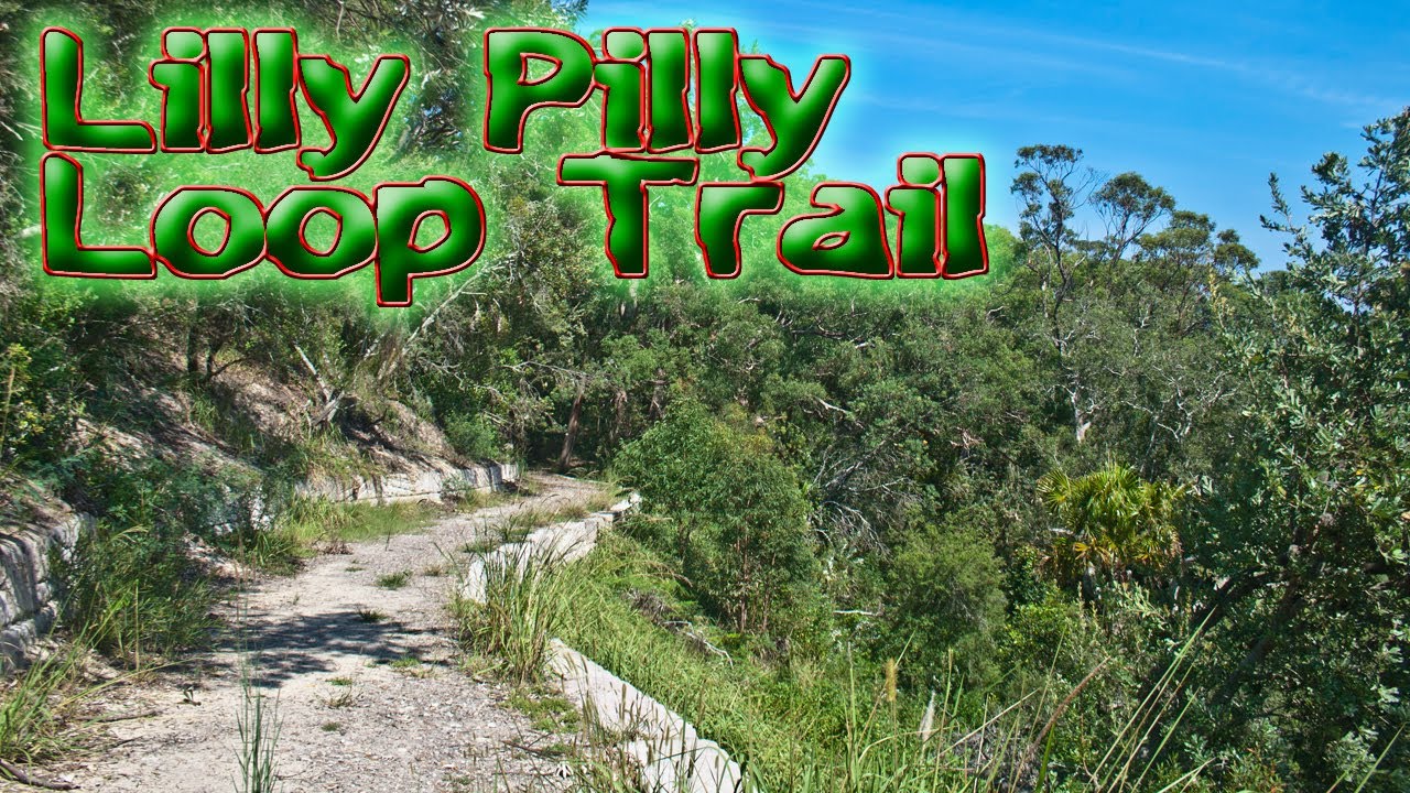 The Stunning Lilly Pilly Loop Trail - YouTube