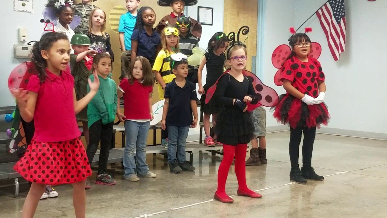 "I'm A Lady" from Bugz - YouTube