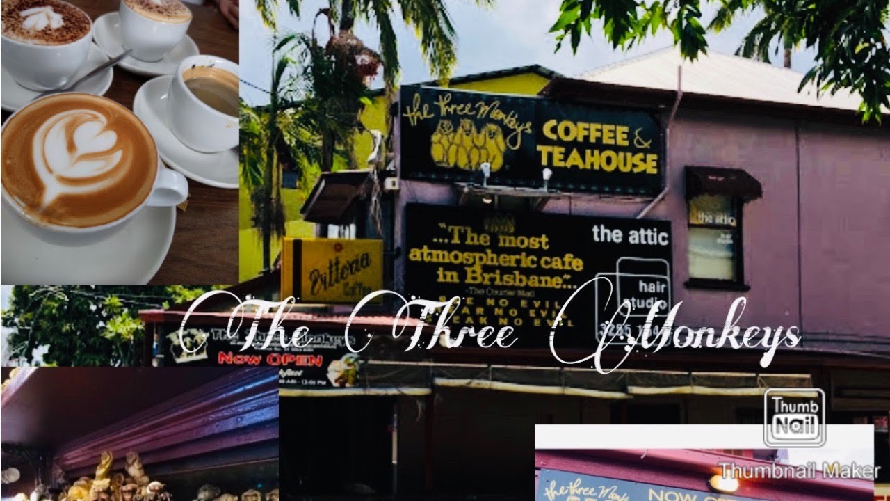 Vlog #16 The three monkeys coffee shop - YouTube