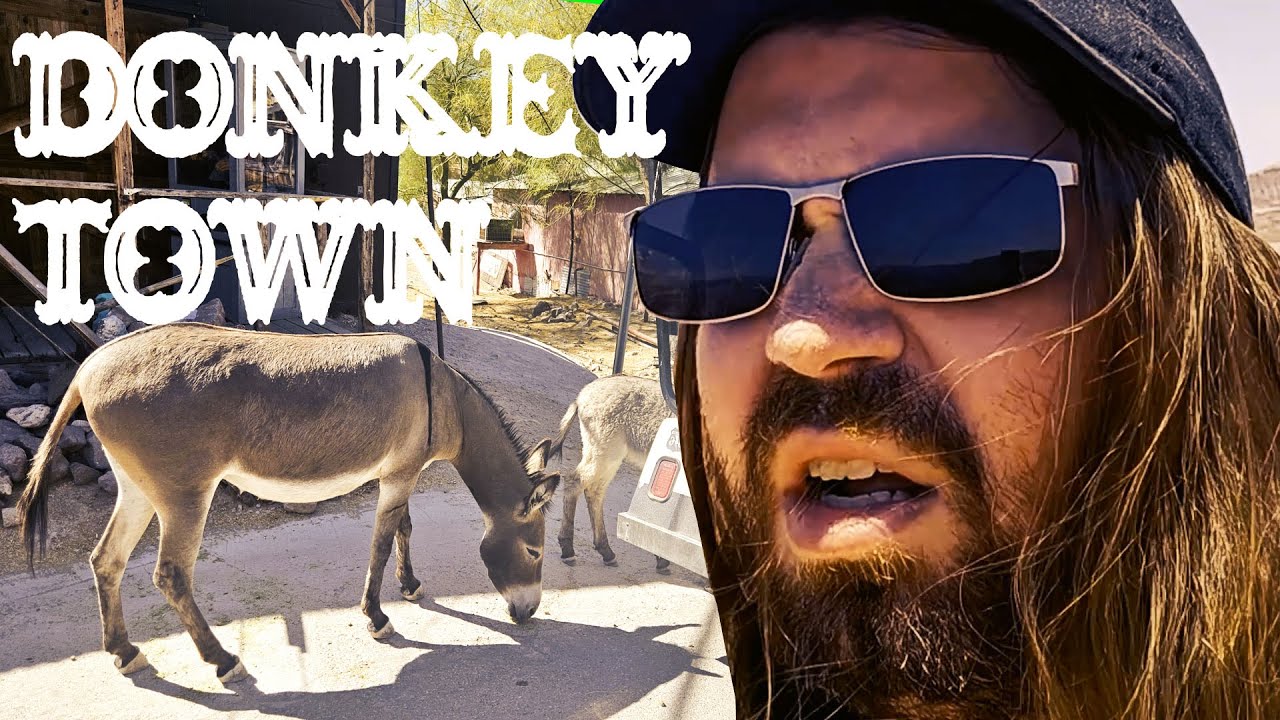 DONKEY TOWN, USA - YouTube