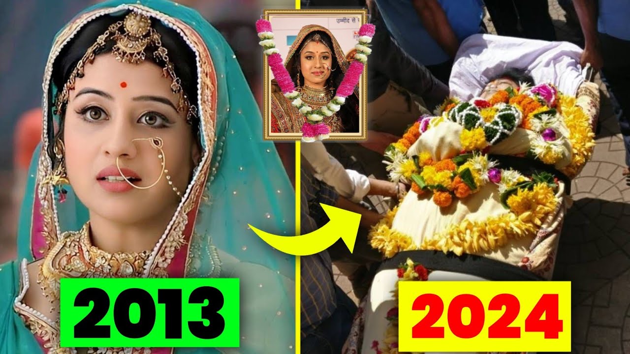 Jodha Akbar Serial Star Cast Name (2013-2024) Then and Now | Real Name ...