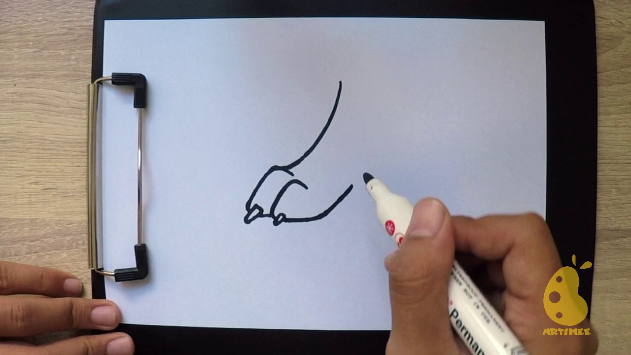 How to Draw dog foot - YouTube