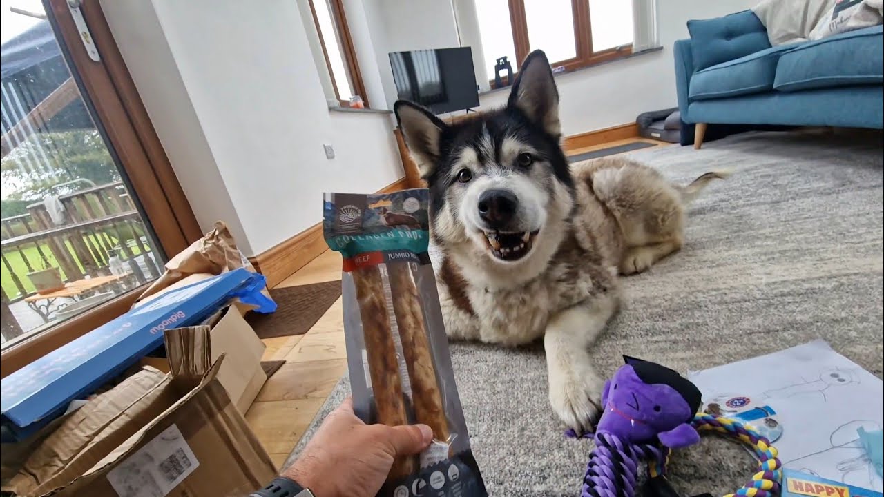 Sherpa Unboxing His Pressies And Cards From You - YouTube