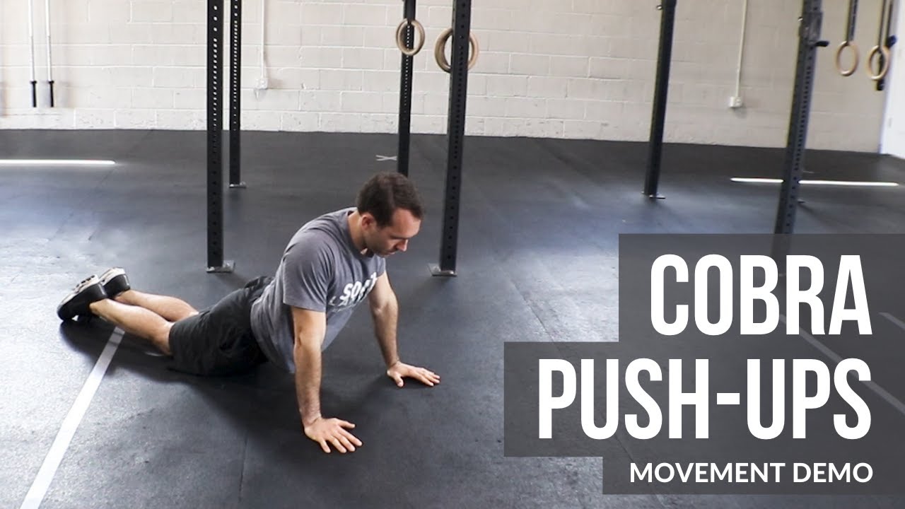 Cobra Push Ups Movement Demo - YouTube