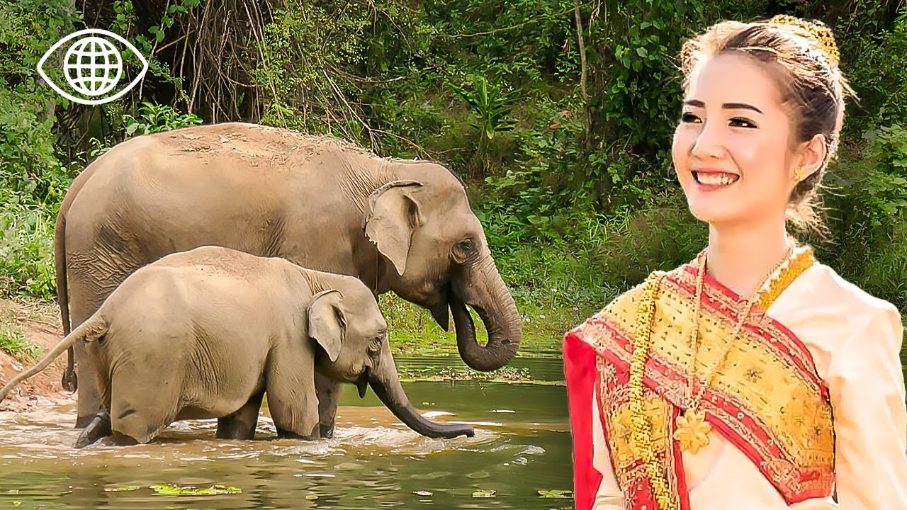 Laos, le pays au million d’éléphants : un monde préservé – Documentaire ...
