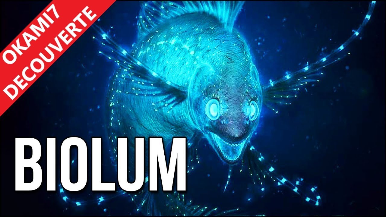 BIOLUM Sur Oculus Quest 3 - YouTube