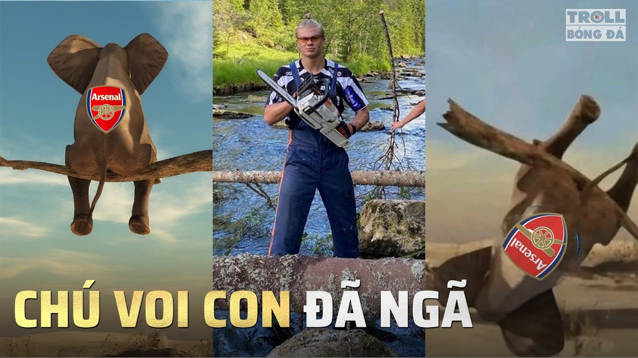 Chú voi con Arsenal đã ngã khỏi ngọn cây | Troll Bóng Đá - YouTube