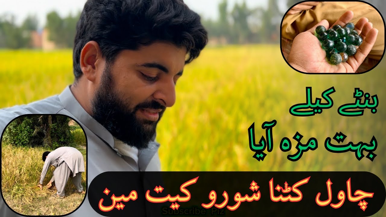 Bahuth Time Baad Bante Kele || Keeth Me Chawal Katai Shoro || beautiful ...