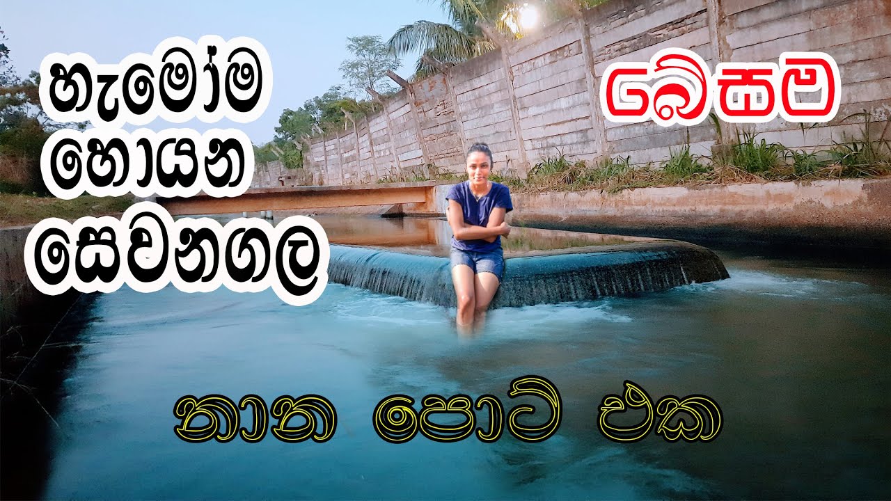 සෙවනගල නාන පොට් එක | බේසම | Sewanagala Sugar Factory Sewanagala ...
