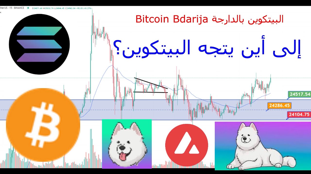 Samoyed coin مناطق الشراء #Bitcoin #crypto #trading #البيتكوين - YouTube