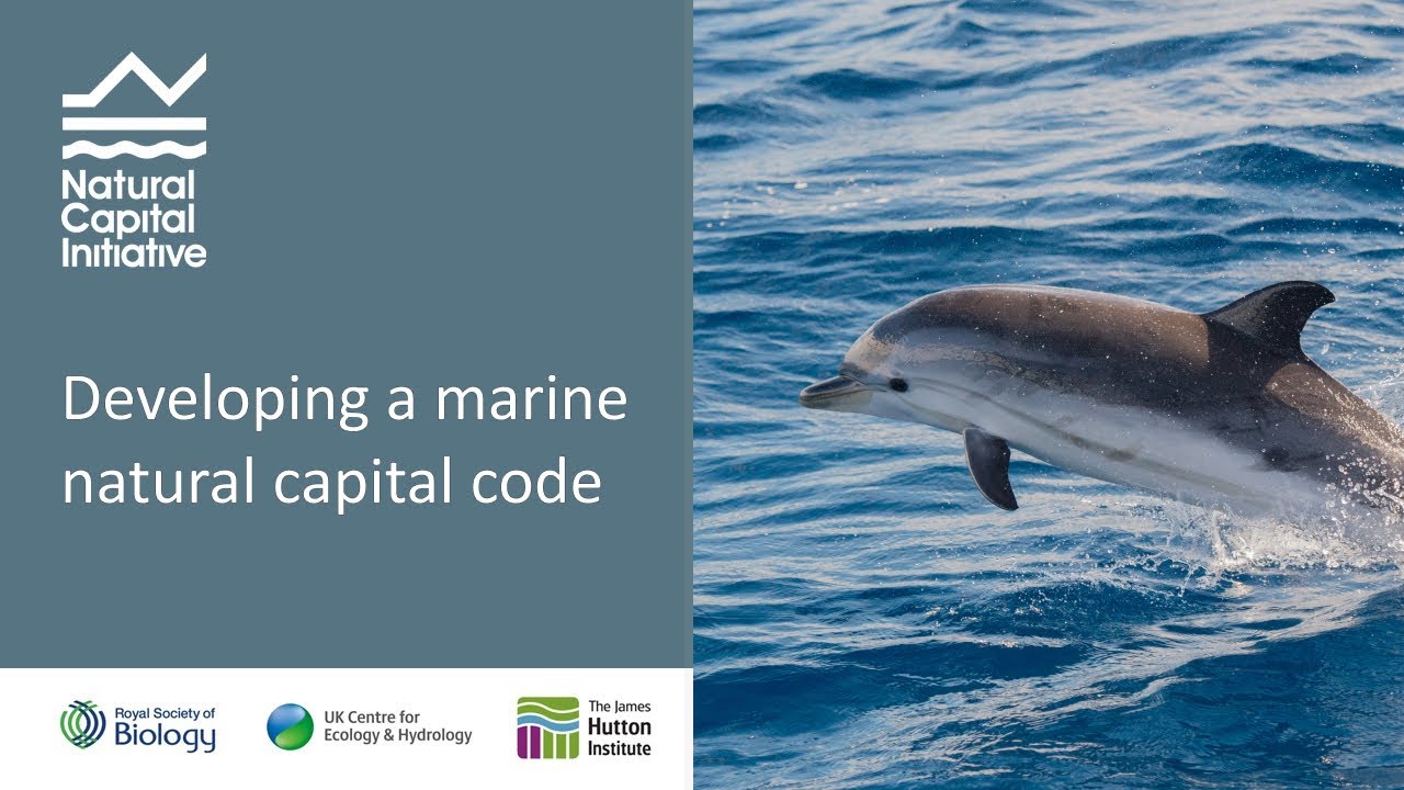 Natural Capital Initiative: Developing a marine natural capital code - YouTube