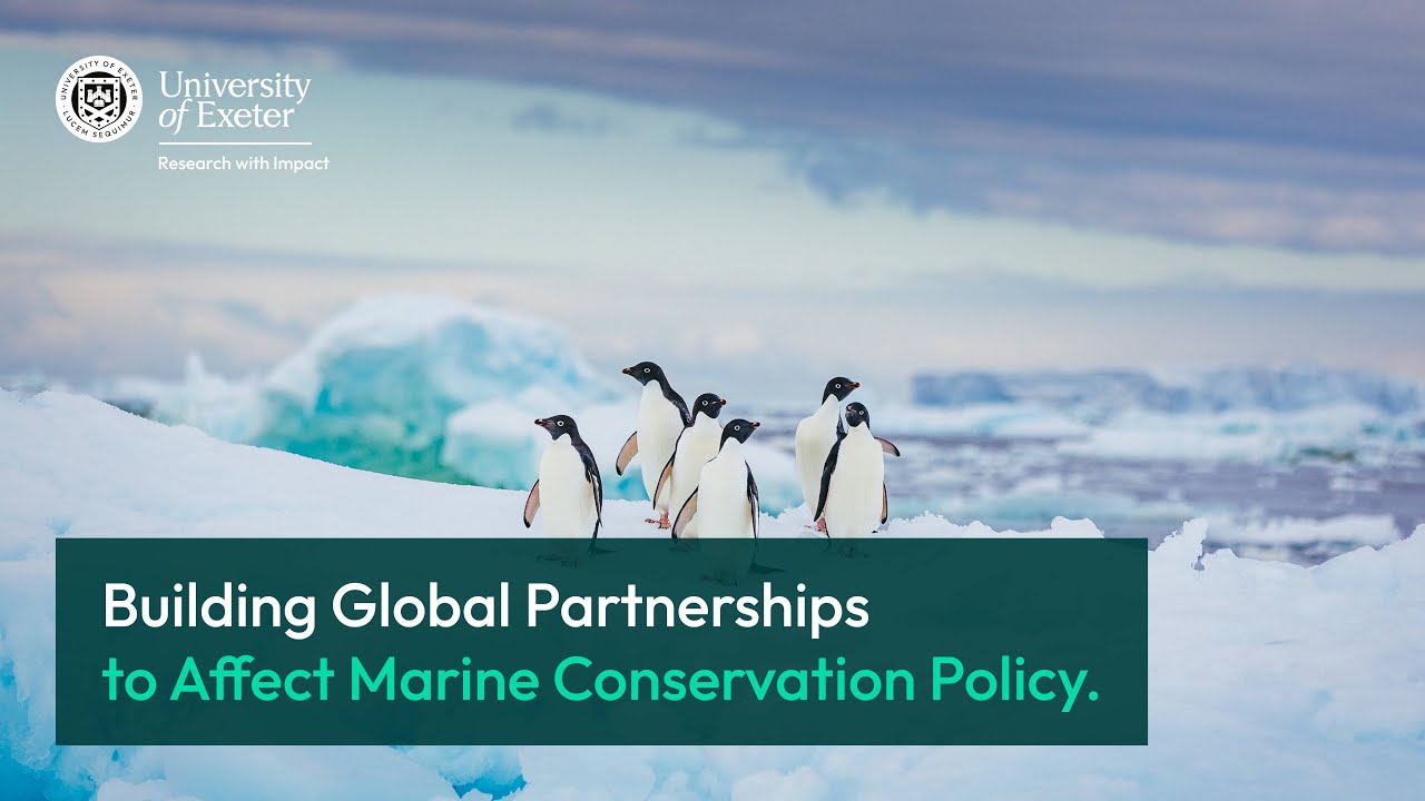 Building global partnerships to affect marine conservation - YouTube