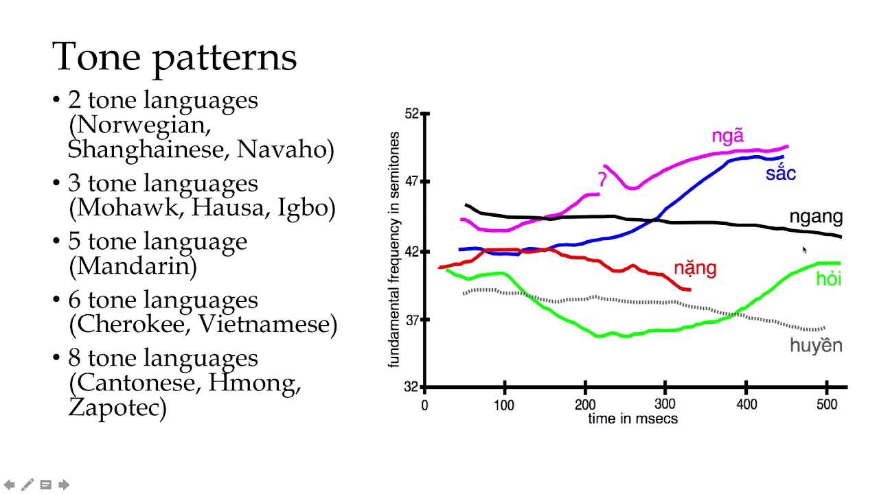 Melody of language - YouTube