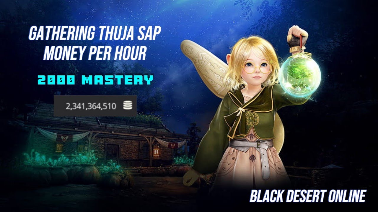 [BDO] Gathering - Thuja Sap - 2000 Mastery - Money Per Hour - 2024 - YouTube