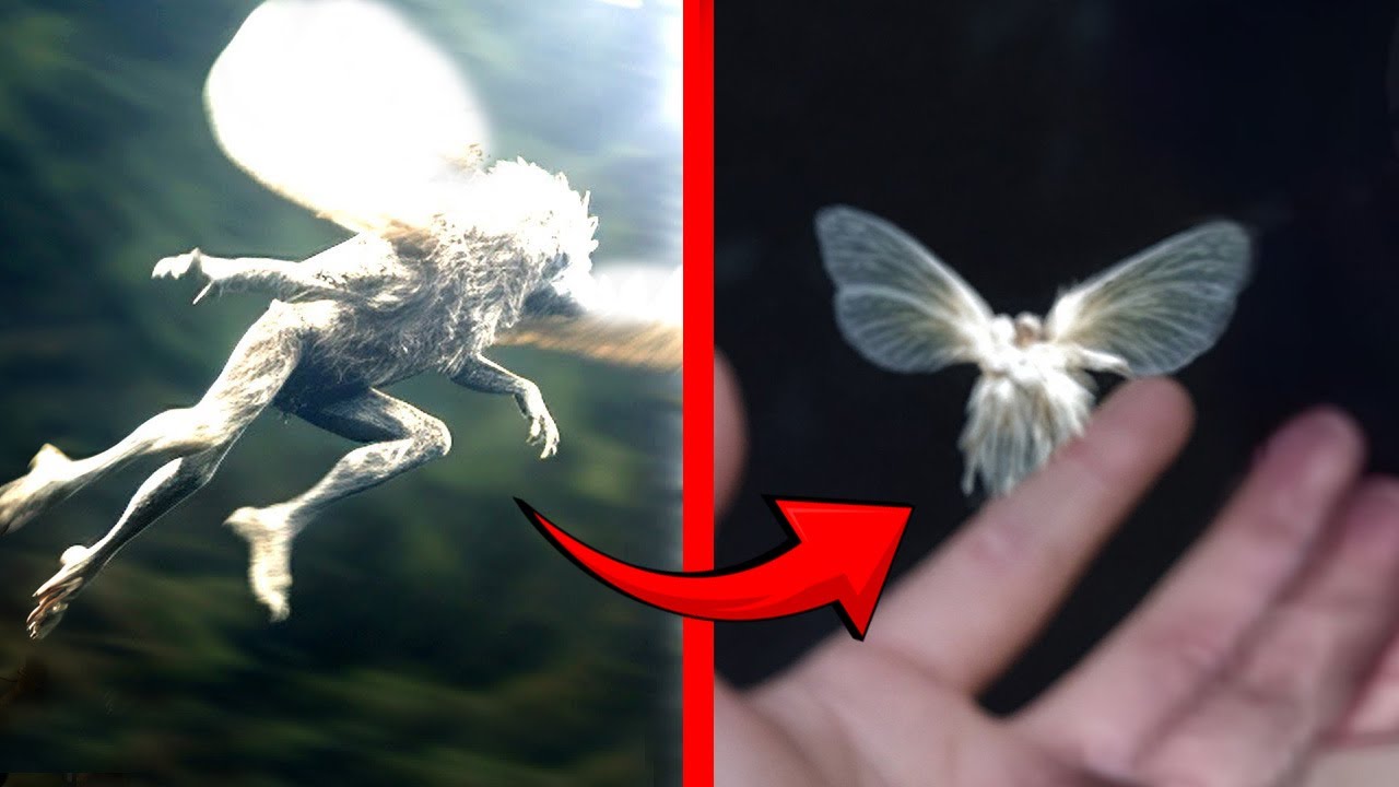 Mythical Creatures That Turn Out To Exist In Real Life! - YouTube