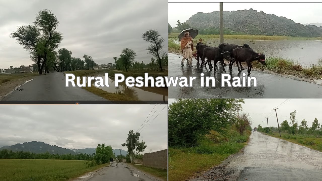 Rural Peshawar in Rain| Rain in Peshawar| Warsak, Peshawar| Beautiful ...
