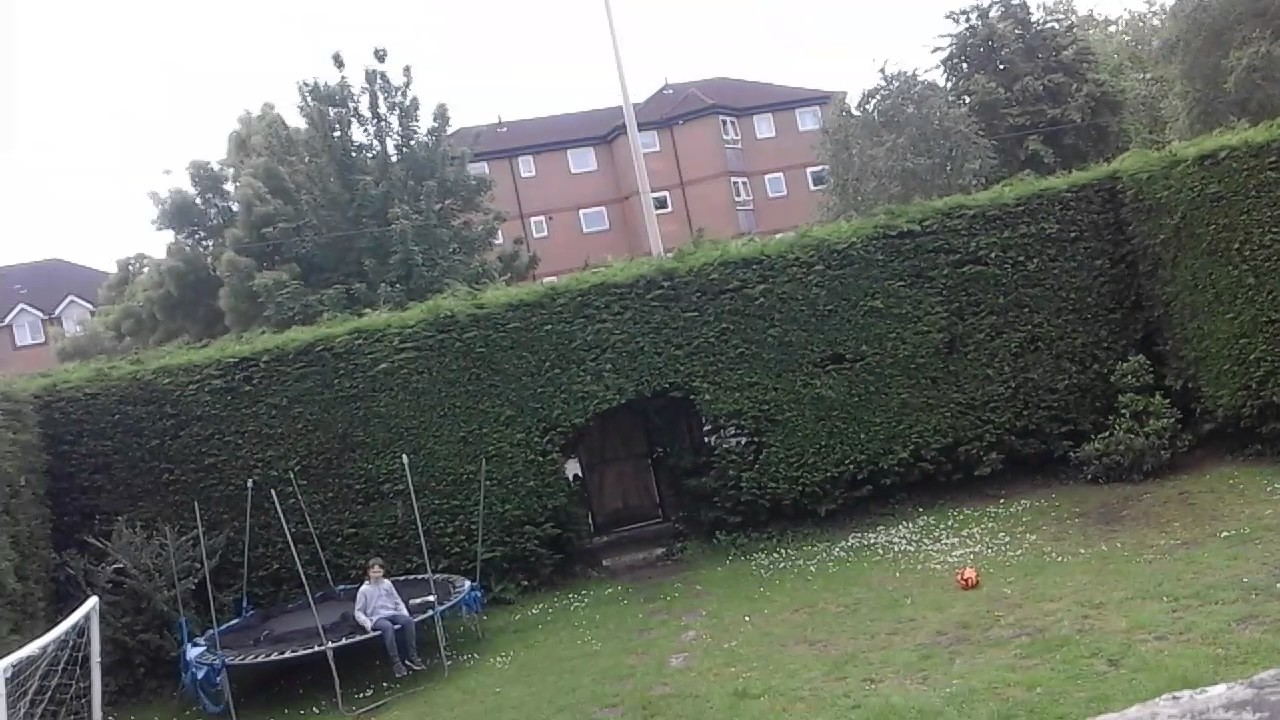 Meeting the pig 500 - YouTube