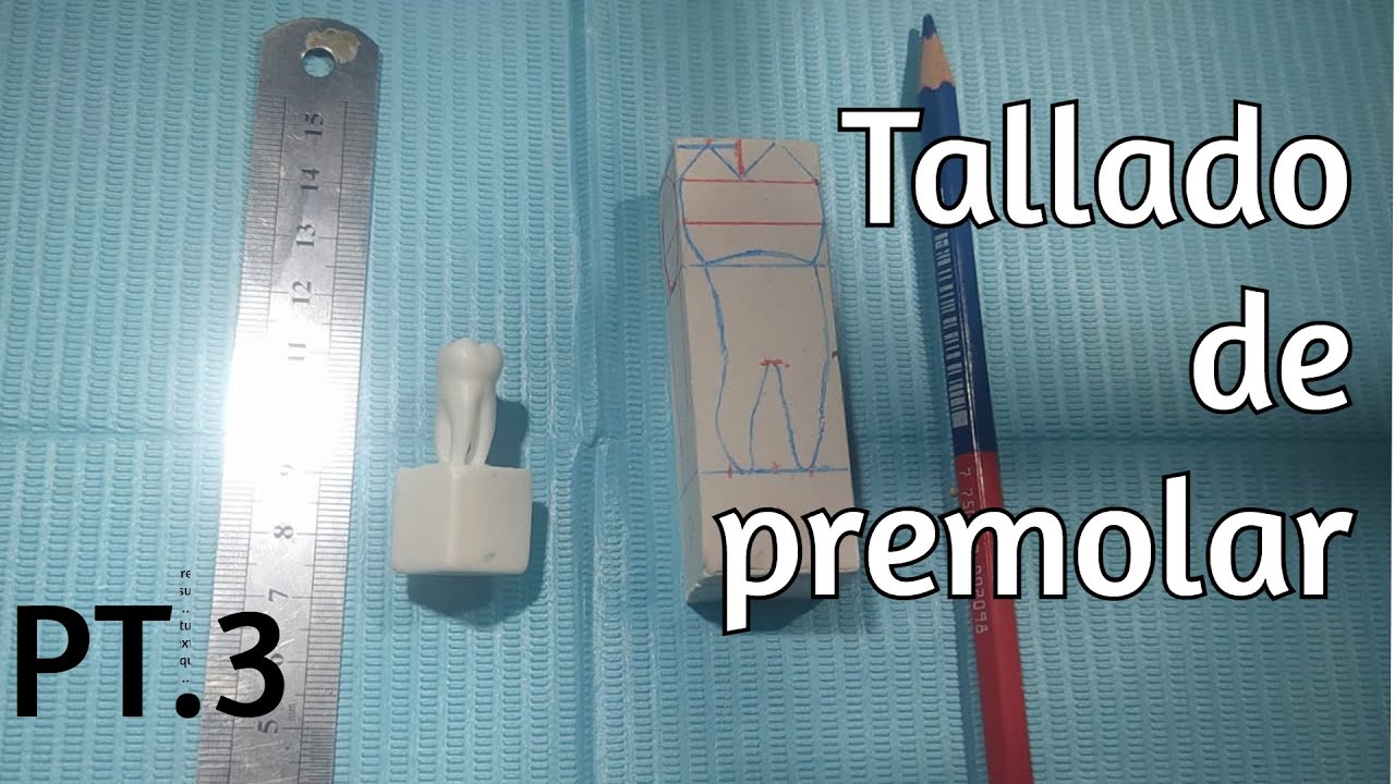 Tallado de premolar en yeso A DETALLE| Pt.3 - YouTube