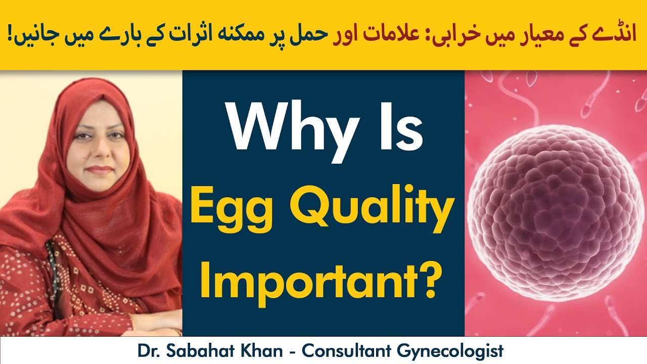 Poor Egg Quality Leads To Infertility | Egg Quality Kaise Improve Kare ...