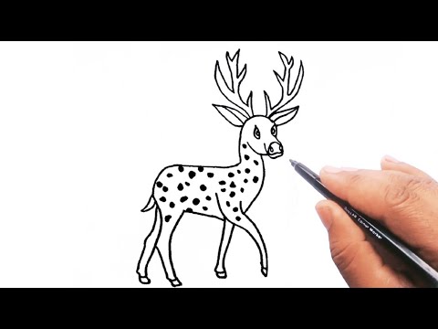 deer drawing | how to draw a deer | how to draw deer easy | deer ...