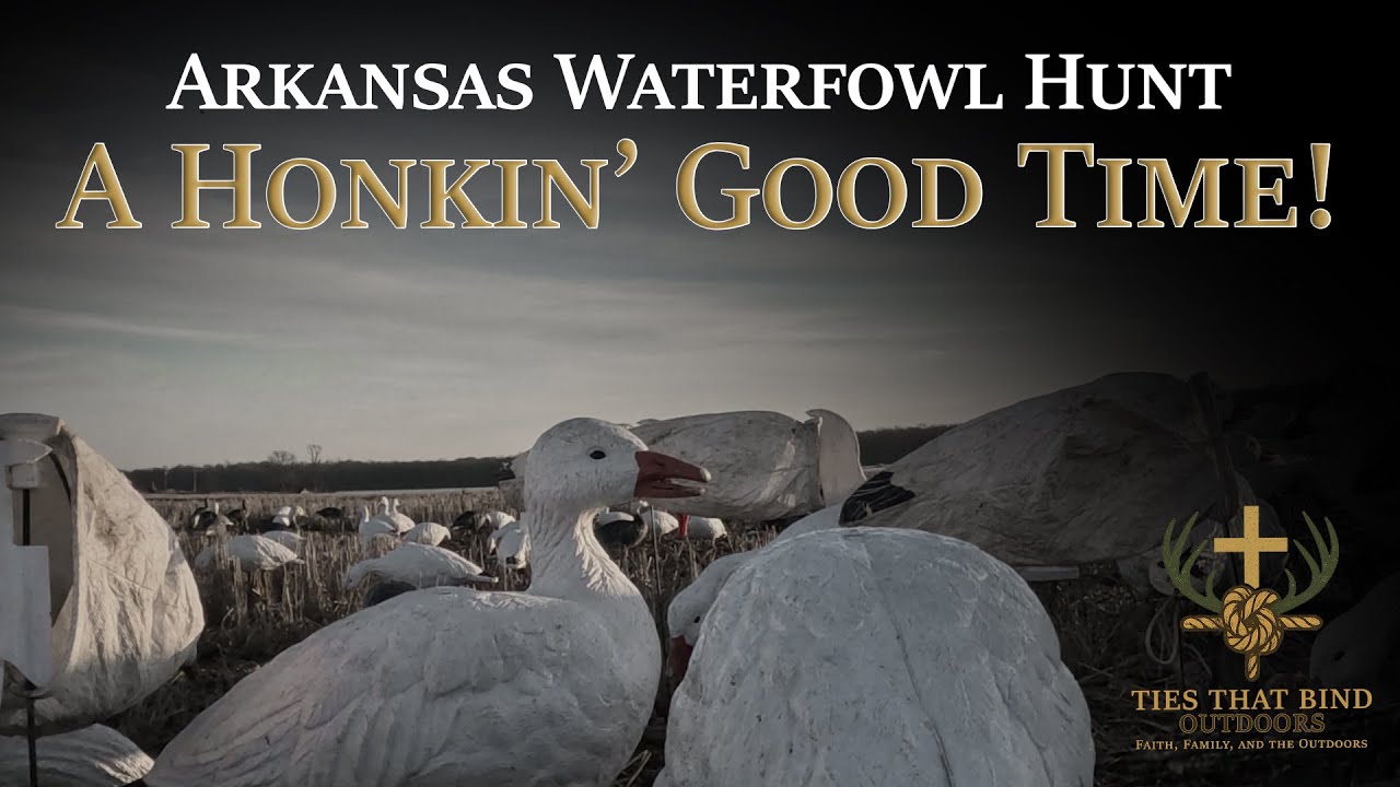 Arkansas Goose Hunt | A Honkin' Good Time! - YouTube