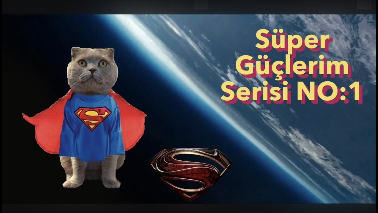 Süper Kedi Gücü - Super Hero Cat - YouTube