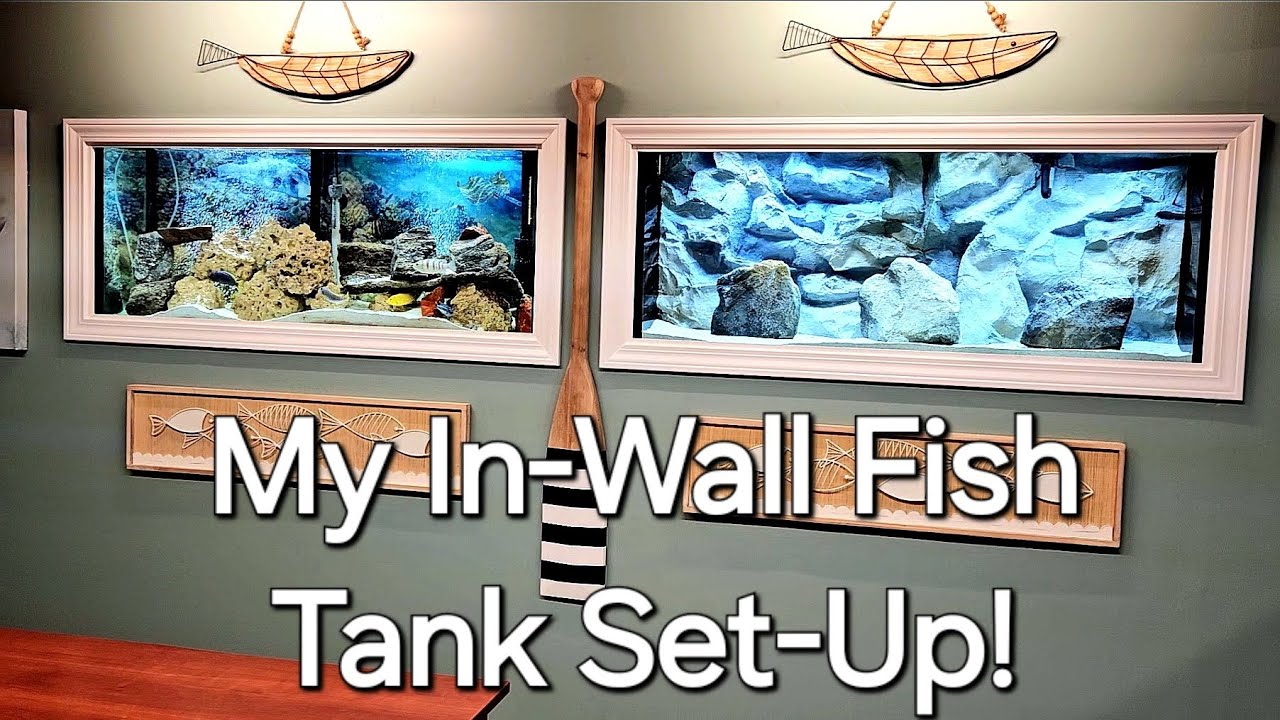 My DIY In-Wall Fish Tank Display! - YouTube
