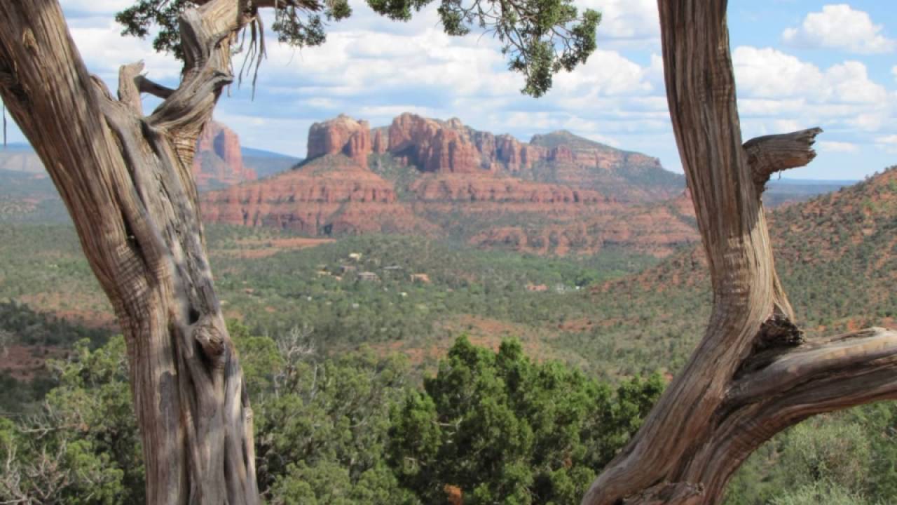 SDCF 10 12 1986 Rev Helm gets revelation of trip to Israel and his ...