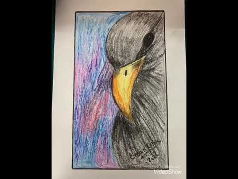 How To Draw Bird With Crayon color step by step - YouTube