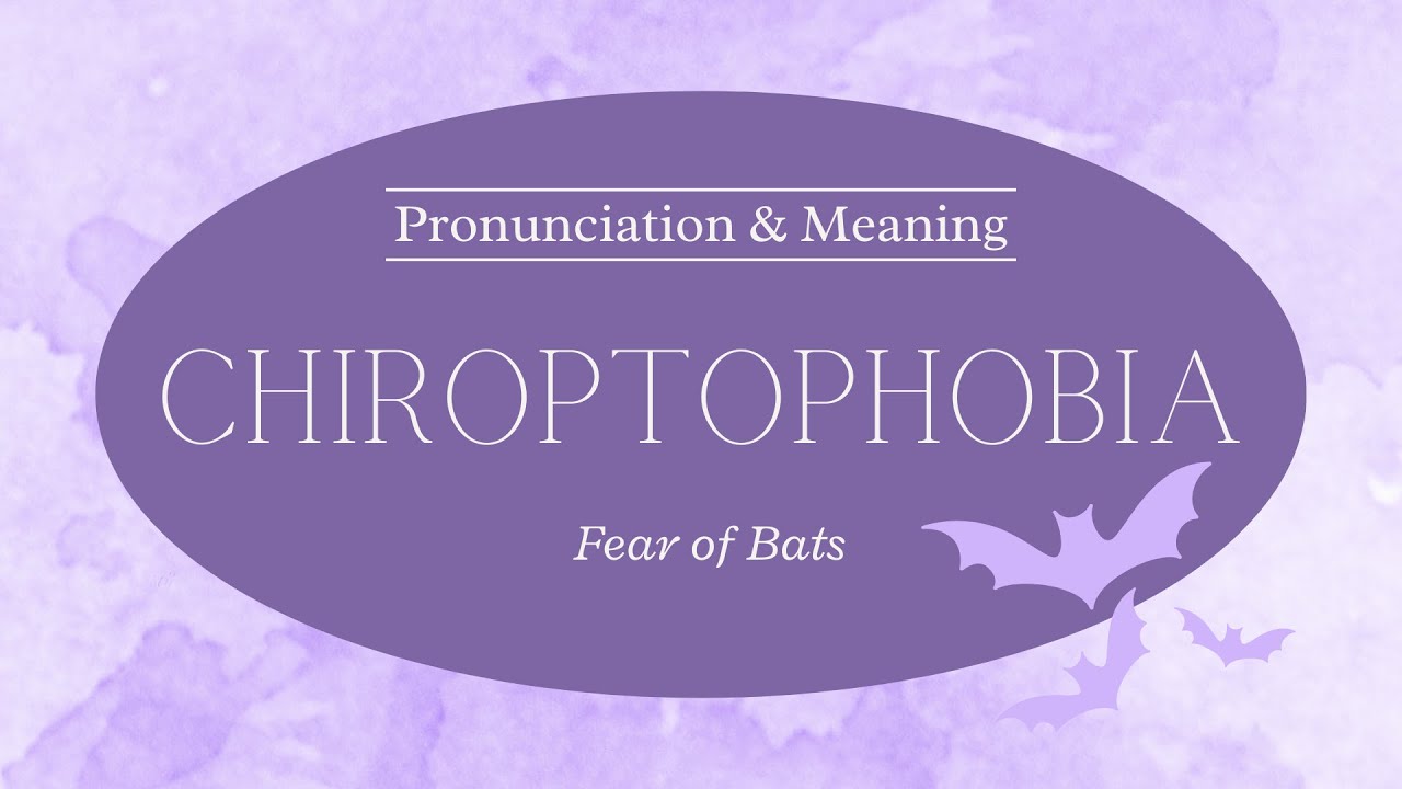 How to Pronounce: Chiroptophobia | Pronunciation & Meaning (British ...
