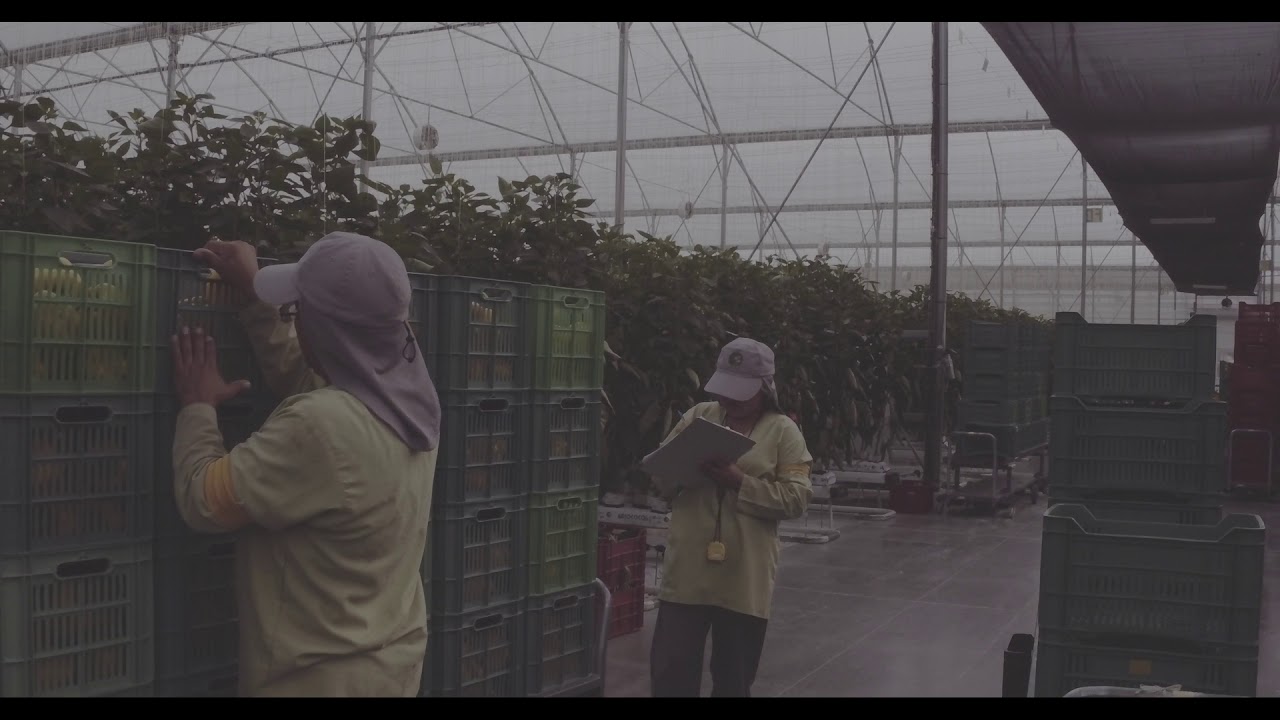 DJI 0872 1 - YouTube