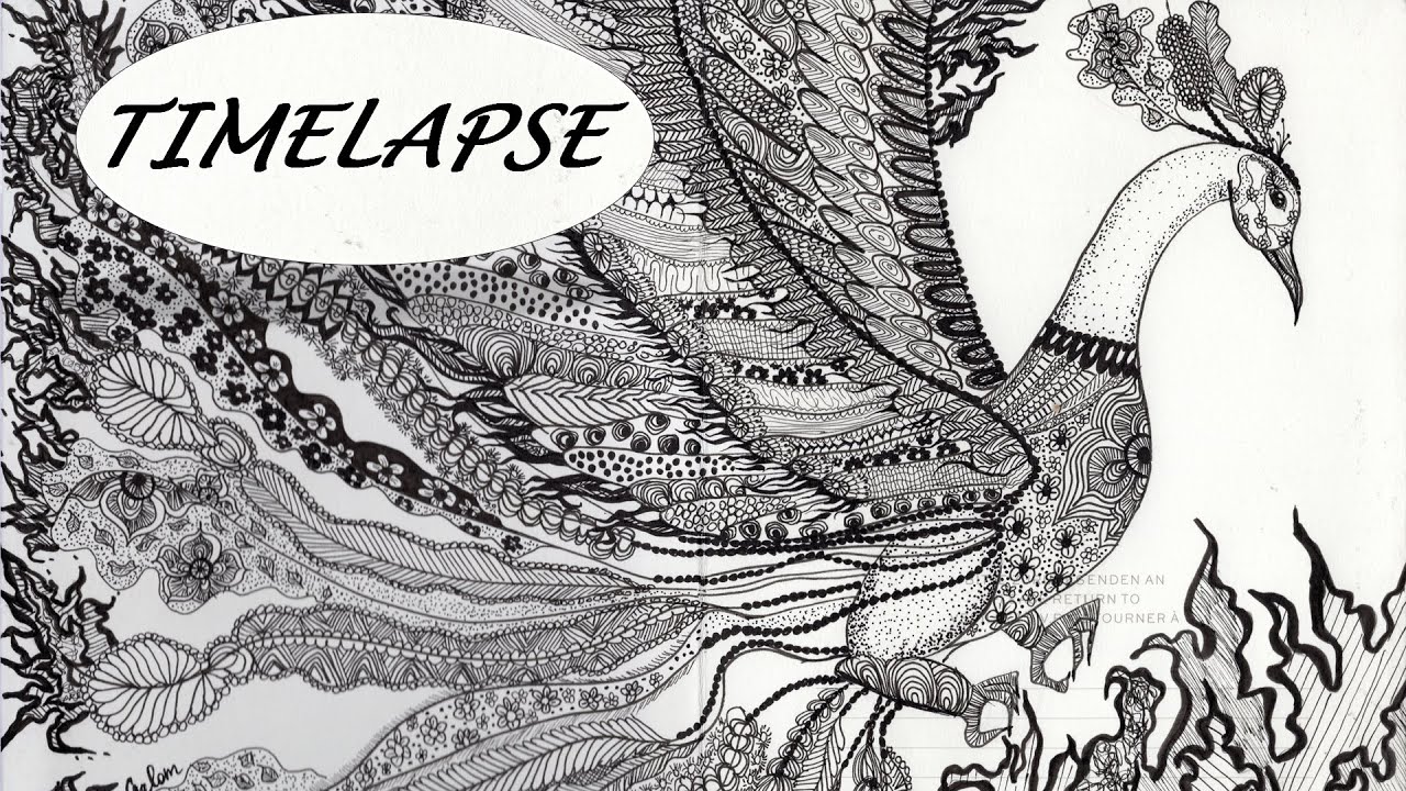 When The Phoenix Rises! - Zentangle Doodle Art - YouTube