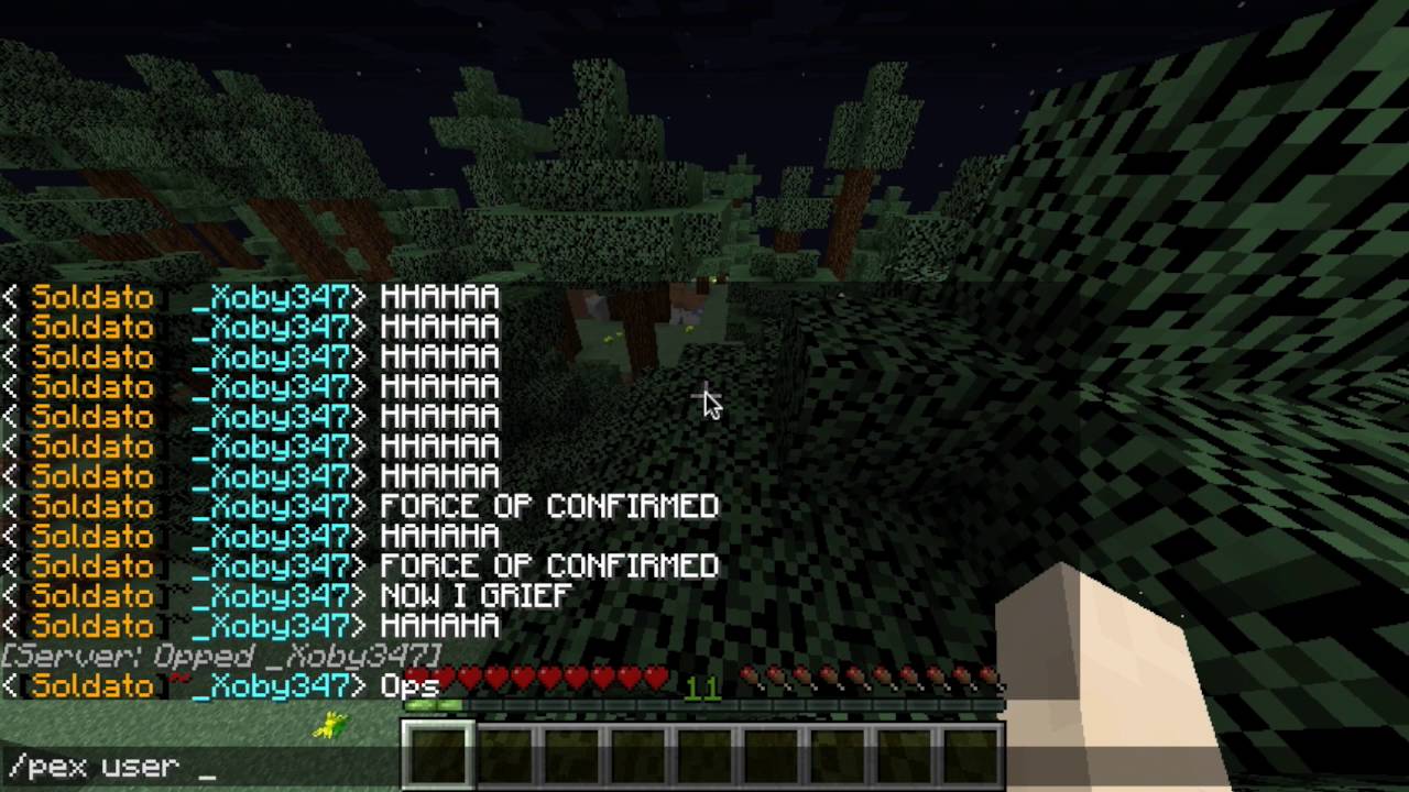 Minecraft FORCE OP! (WORKS!) download in description - YouTube