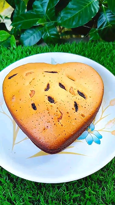 Make Plain Cack Without Ovensoft Vanilla Cack 🥮🥰 Shorts Viral Cake Youtubeshorts Youtube