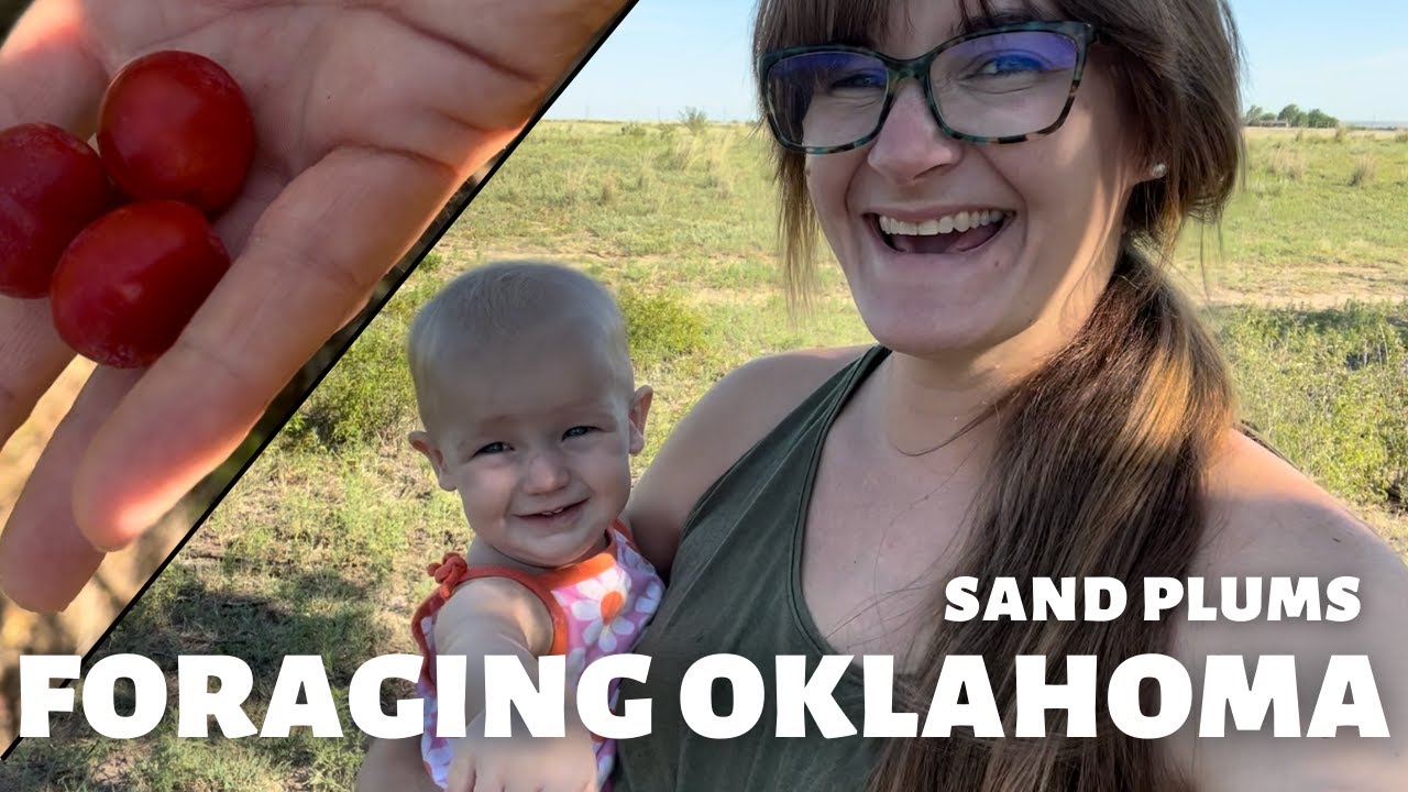FORAGING OKLAHOMA | SAND PLUMS - YouTube