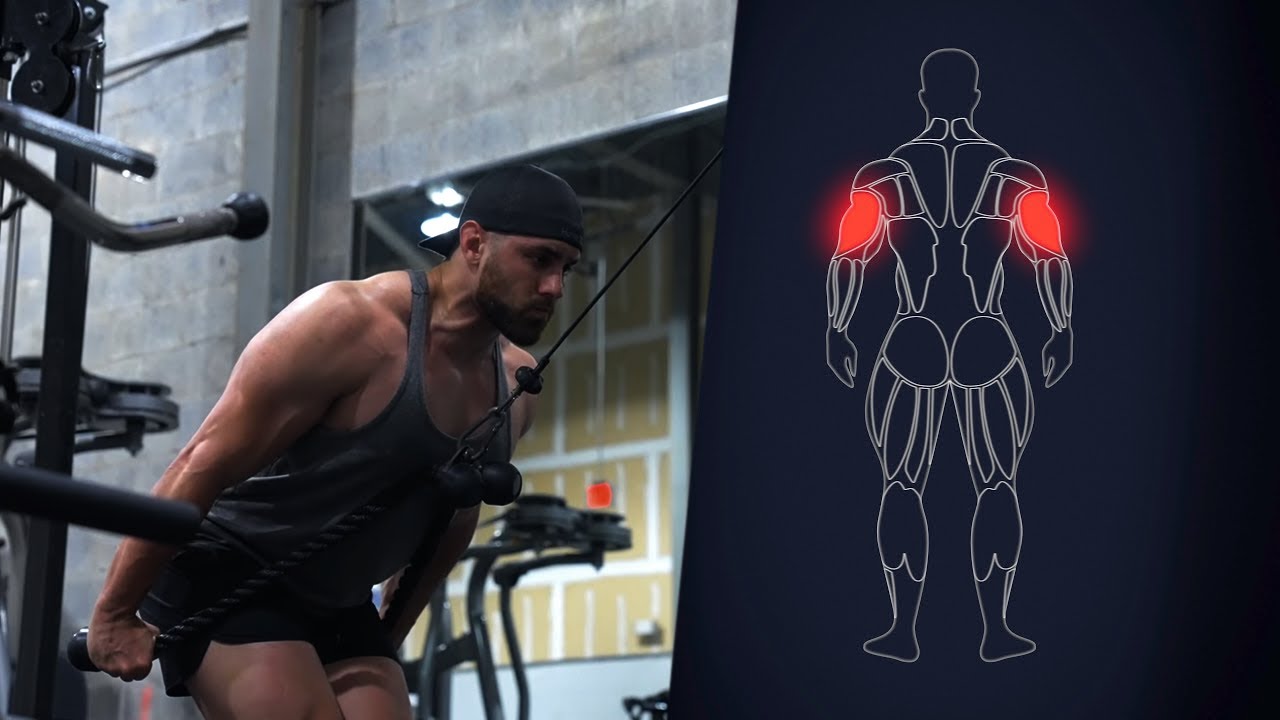 Dual Rope Tricep Extension - YouTube