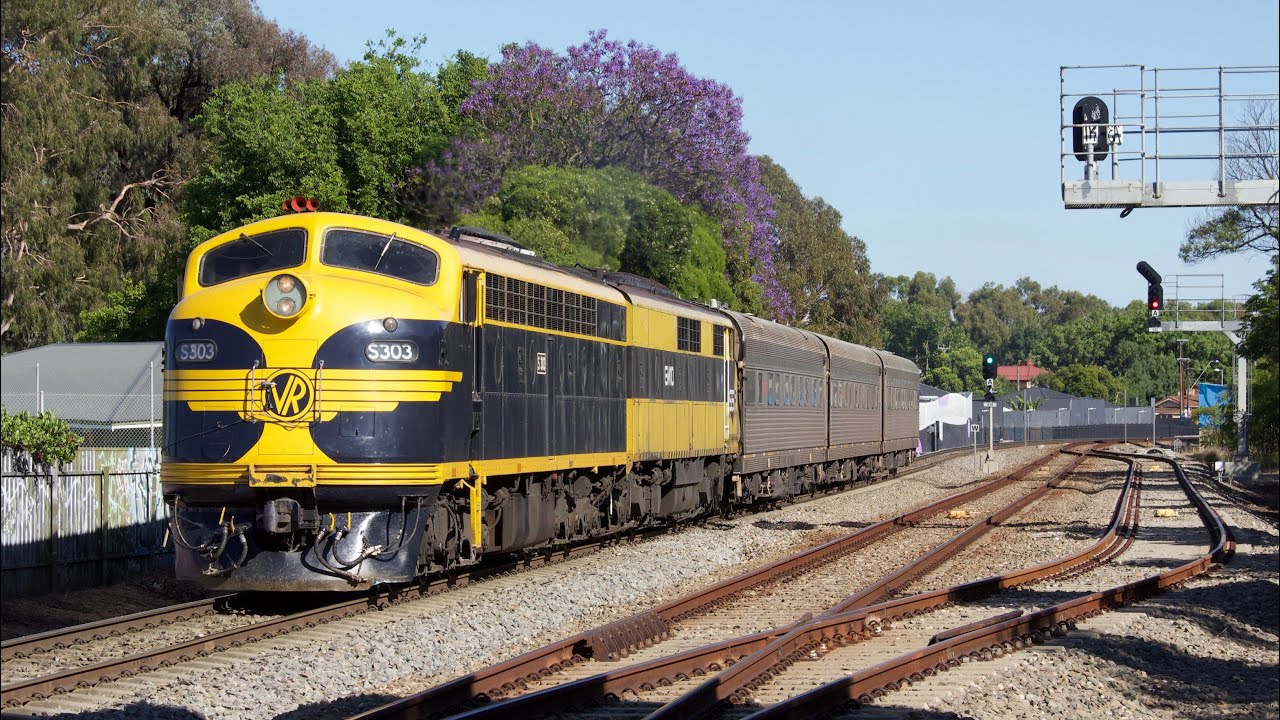 AK81 Millswood 01/12/2022 - YouTube