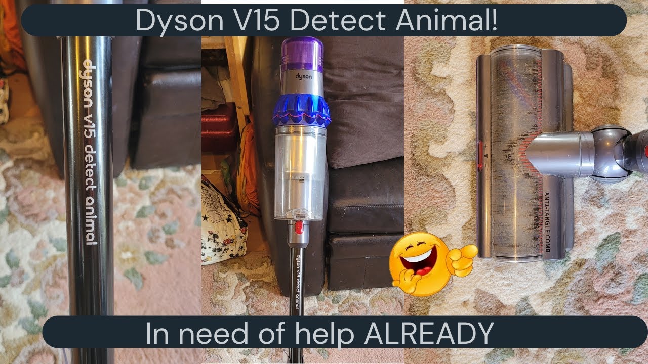 Dyson V15 Detect Animal! First look, before Repair & Refurbishment ...