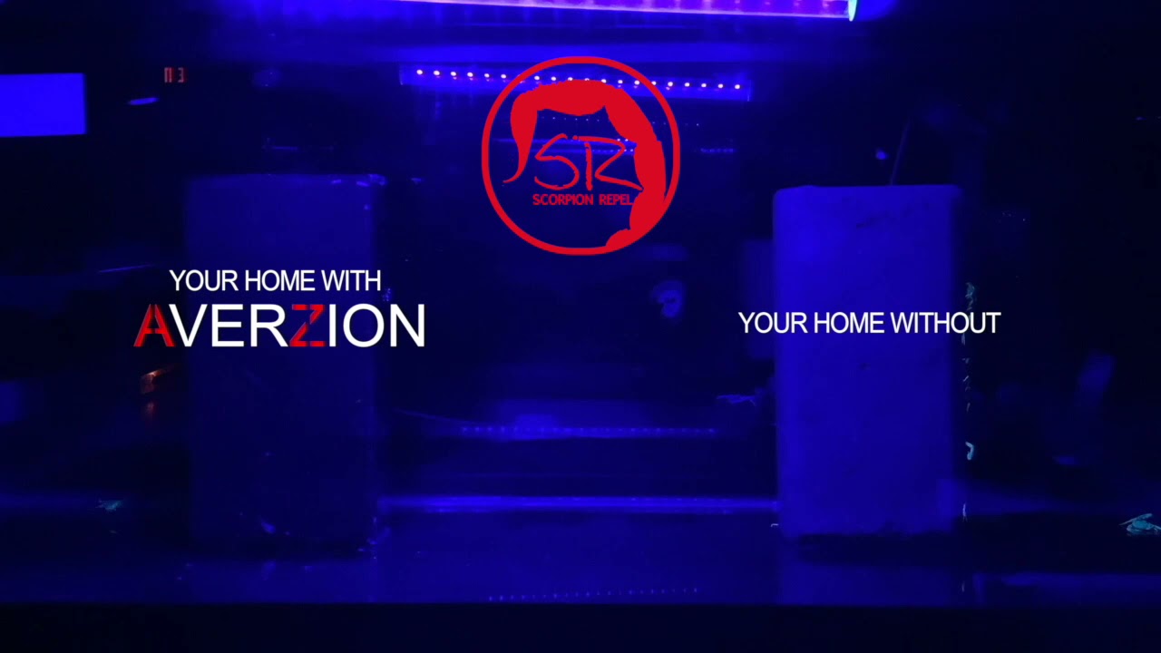 Scorpion Repel Time Lapse - YouTube