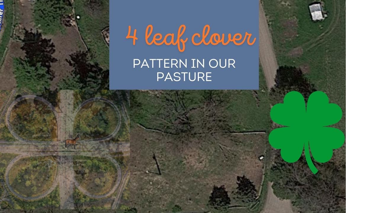 HORSEY ENRICHMENT , THE 4 LEAF CLOVER PATTEN PT 2 GOPR1148 - YouTube