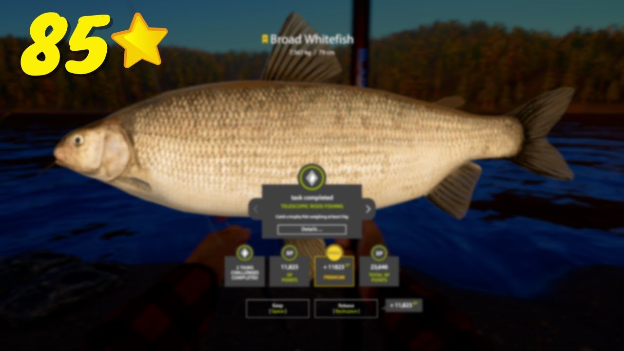 TROPHY BROAD WHITEFISH IN TUNGUSKA RIVER | Russian fishing 4 - YouTube