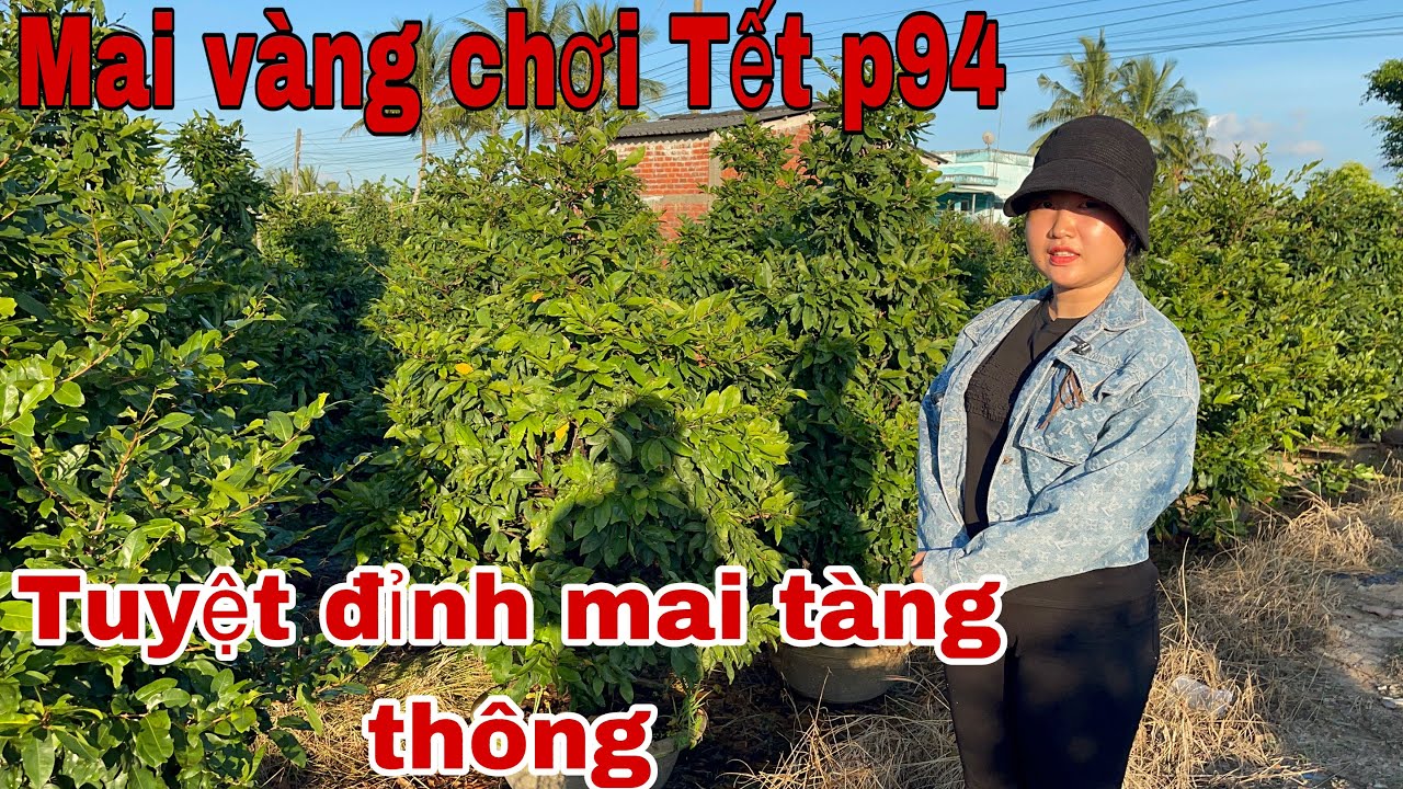 📱 0383799937 gặp Ngân 📱mai vàng chơi Tết p94 - YouTube