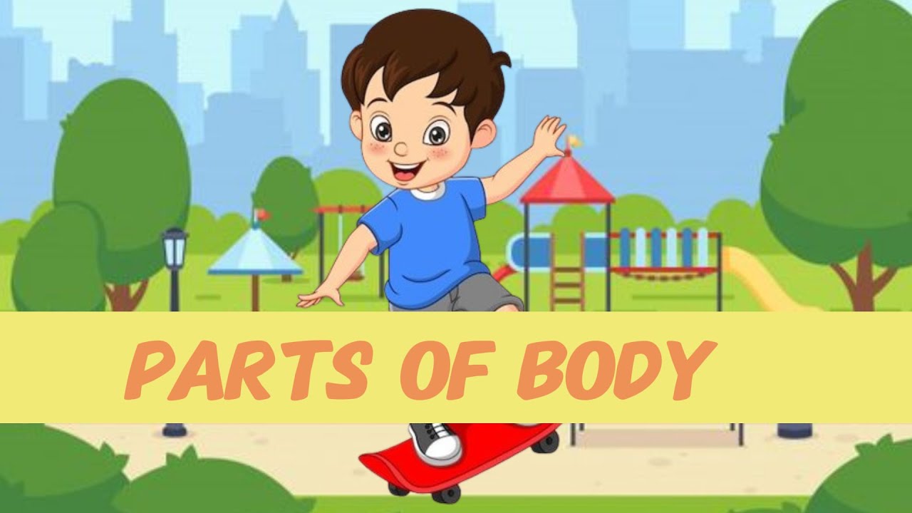 Parts of Body | Preschool Educational Videos | Learning Videos for ...