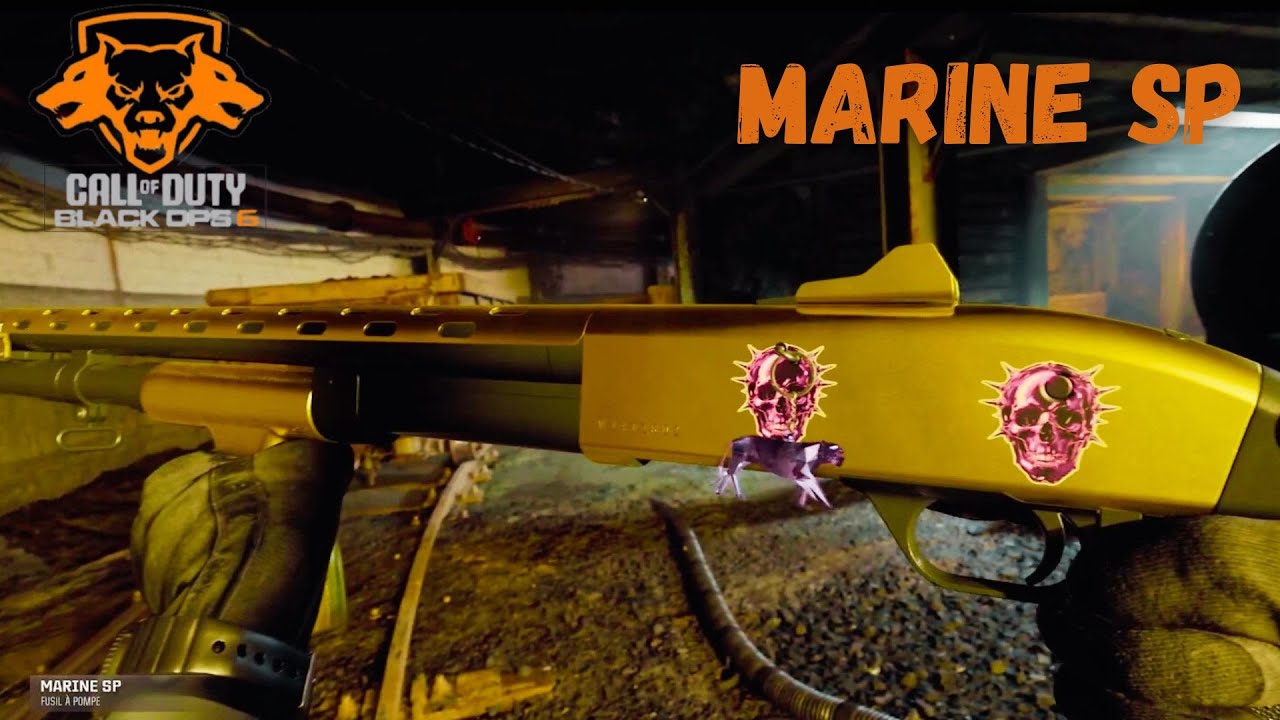 BO6 : RUSH GOLD : MARINE SP - YouTube