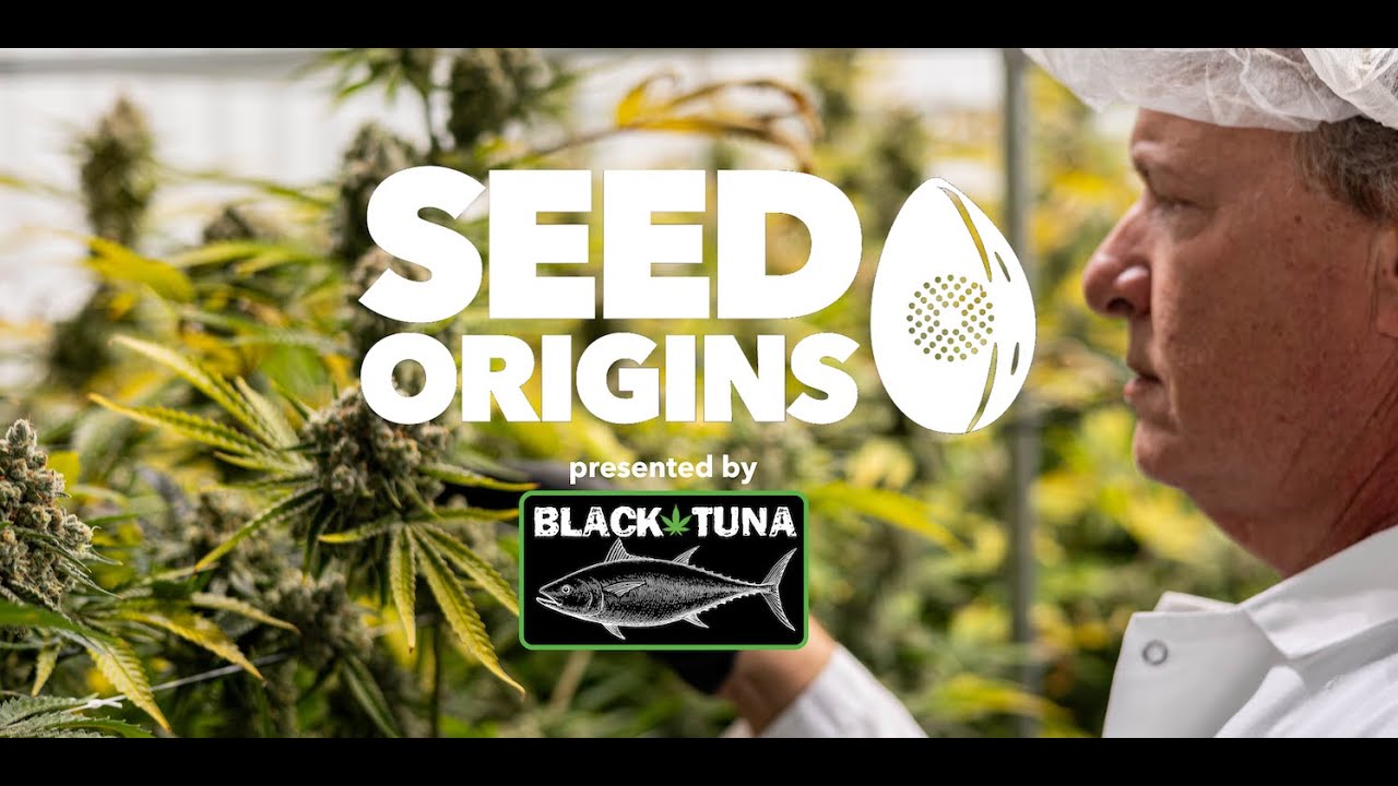 Black Tuna CEO tells story of how the Black Tuna Hybrid was created ...