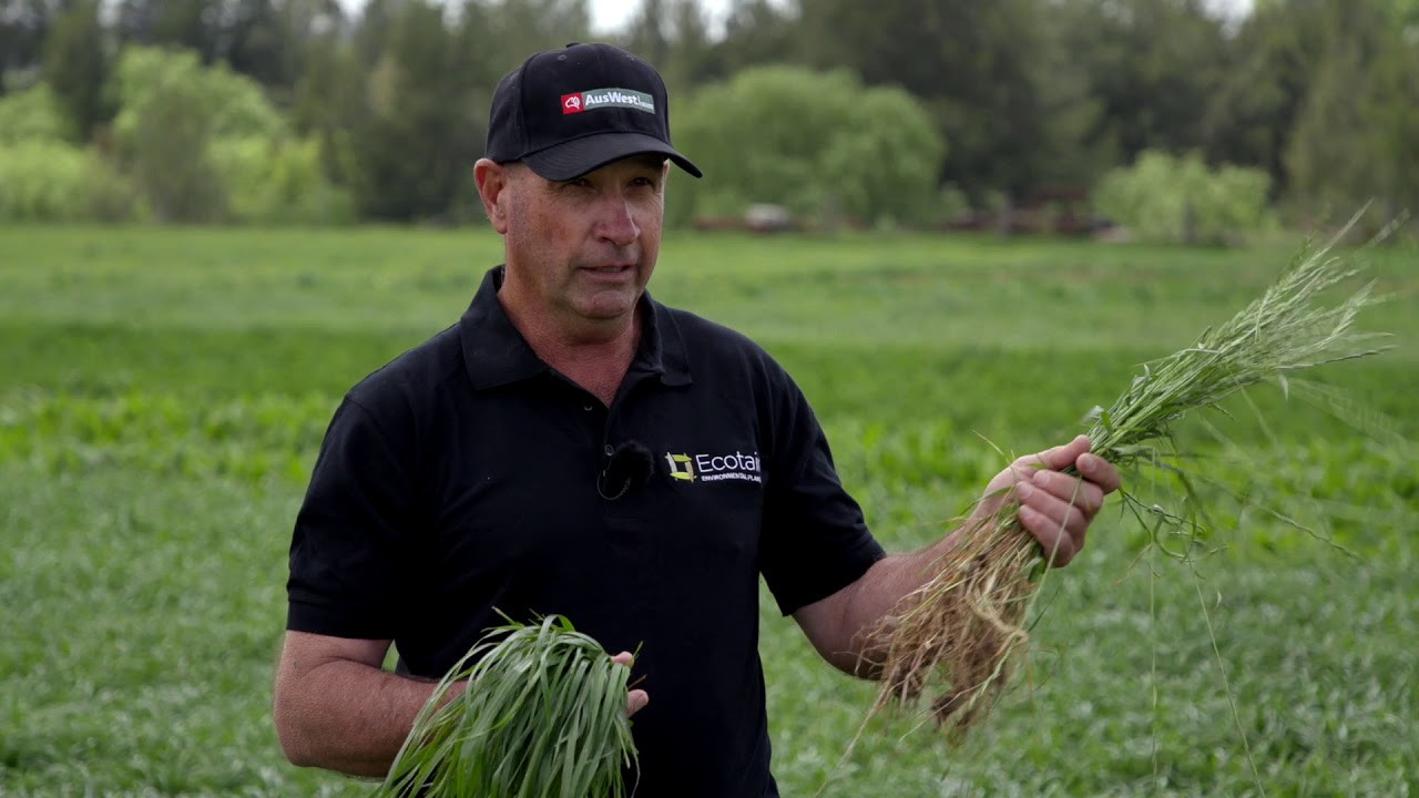 Singleton Spring Virtual Field Day - Paul Sippel - YouTube