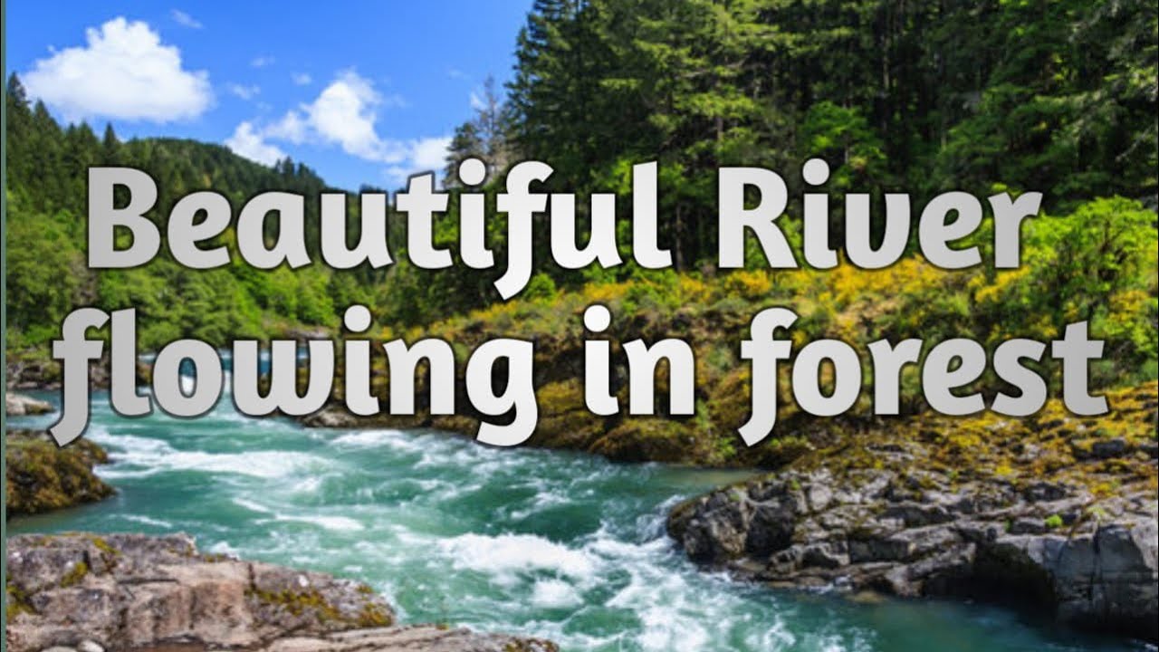 Beautiful River Flowing | Green Forest River | Ultra HD Nature Video ...