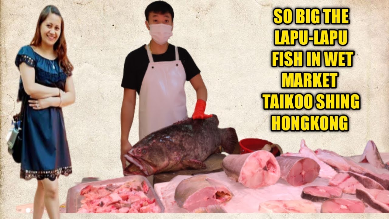 SO BIG THE LAPU-LAPU FISH IN WET MARKET TAIKOO SHING HONGKONG - YouTube