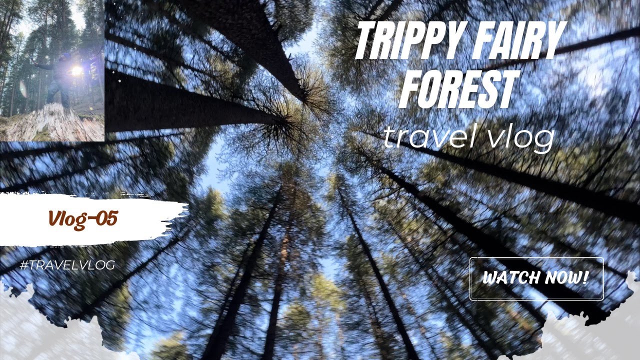 TRIPPY FAIRY FOREST| PULGA|PARVATI VALLEY| KASOL| FINALLY FAIRY DHUNDH ...